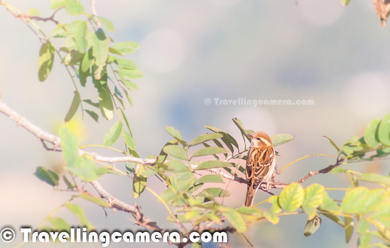 A Day tour to Mukteshwar and Himalayan Village, Sonapani || A Long ...