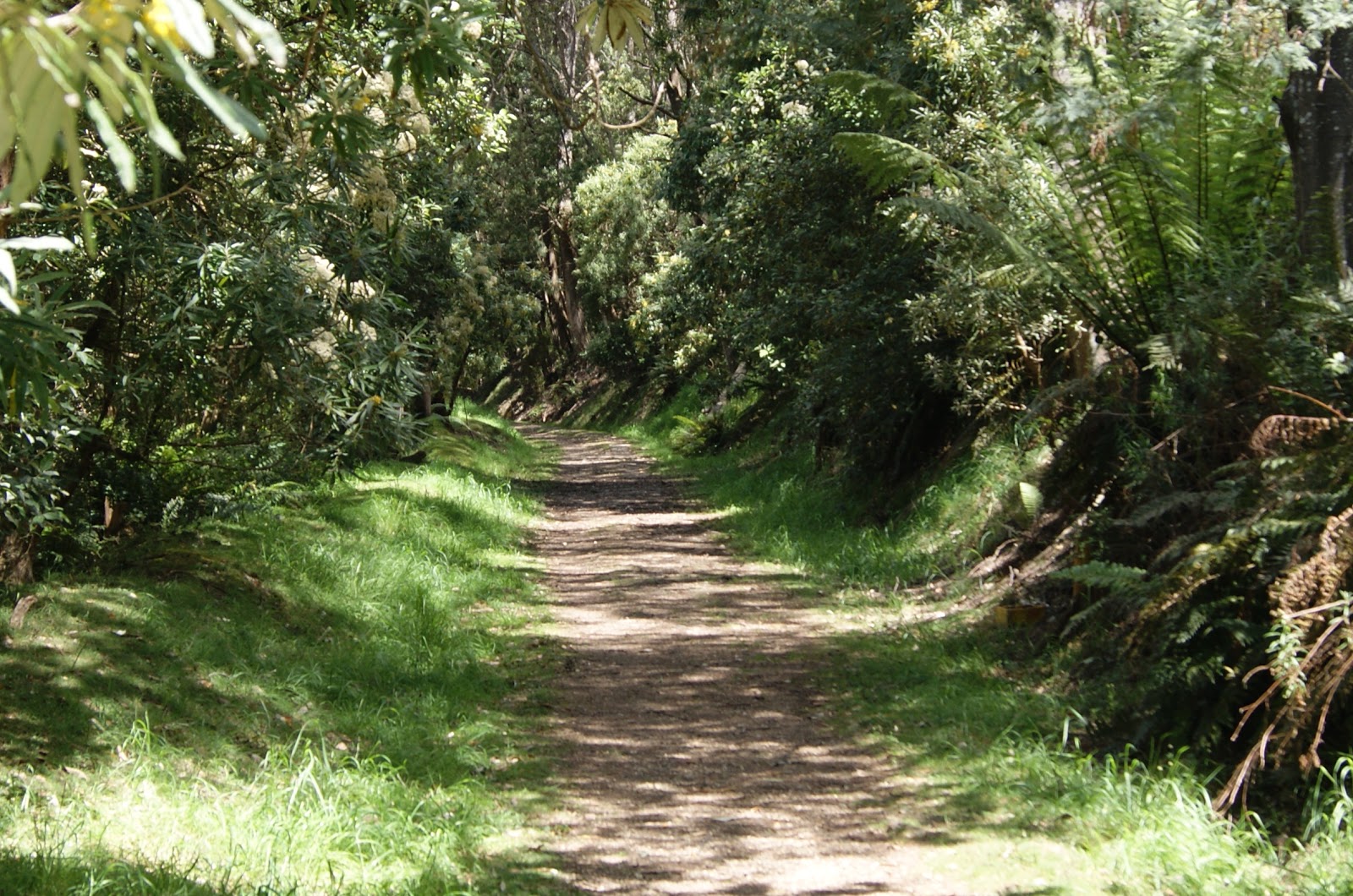 On The Convict Trail: Fern Tree Village