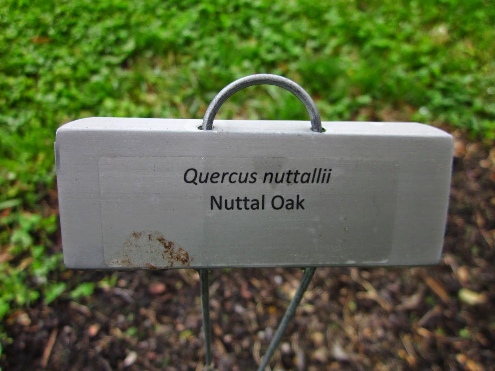 NEW at Kew: Week Nine