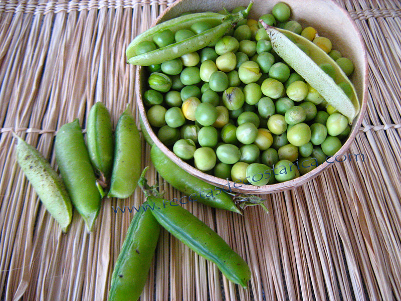 Cocina Costarricense: arvejas tiernas