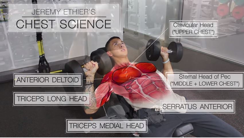 #helpYOUgetGAINS - Bodybuilding Supplements and Training: The Best ...