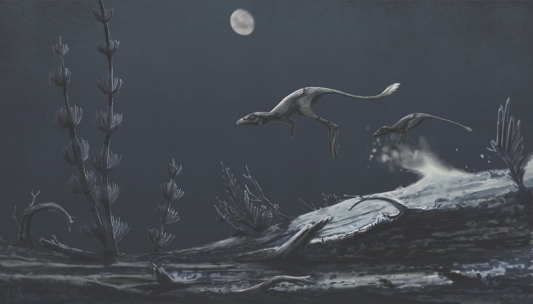 Manospondylus: Whatever happened to kangaroo-kicking dinosaurs?