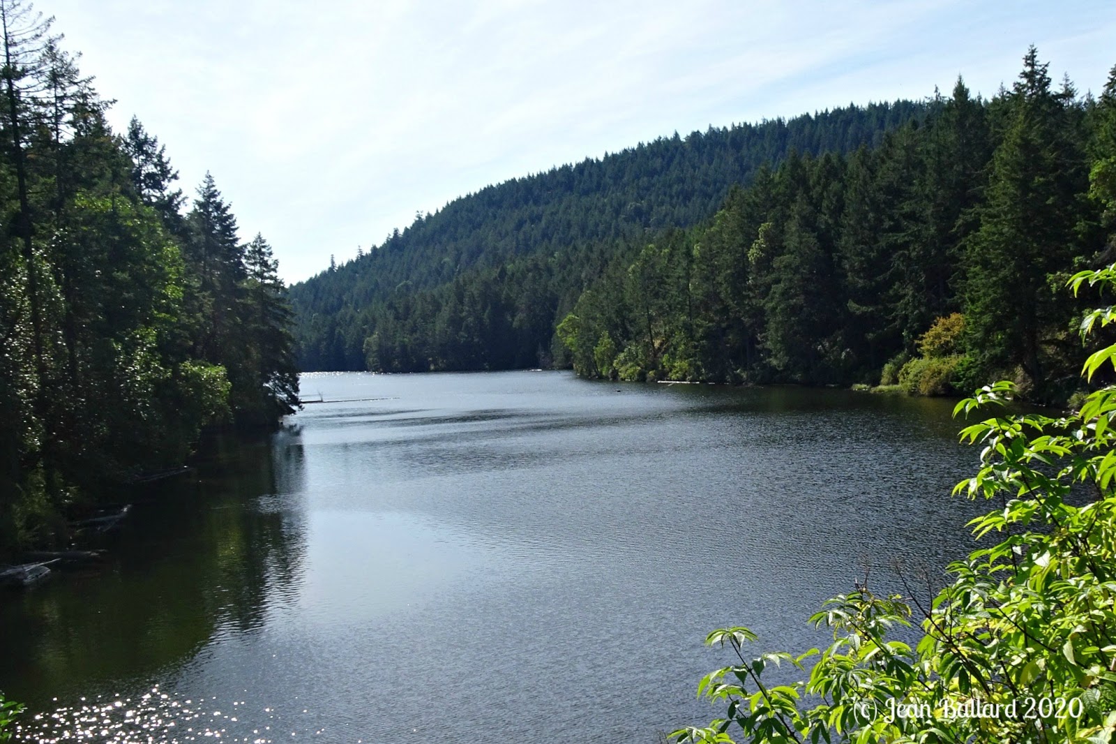 My life with the critters: Enos Lake