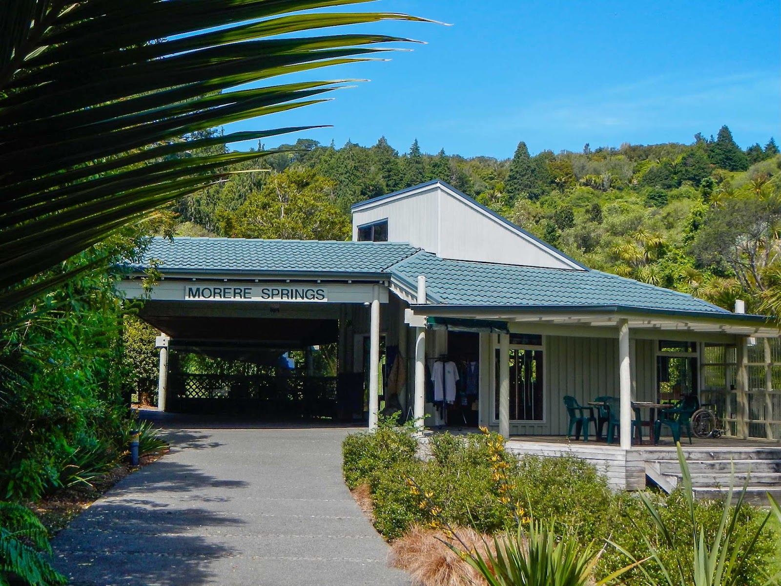 Along for the ride: Hot Springs North Island, New Zealand