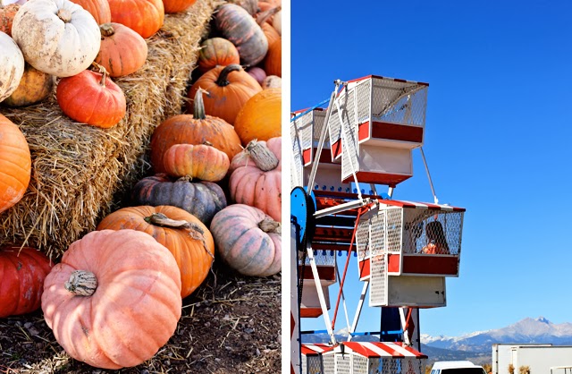 Rocky Mountain Pumpkin Ranch | Longmont 100: Things to do in Longmont ...