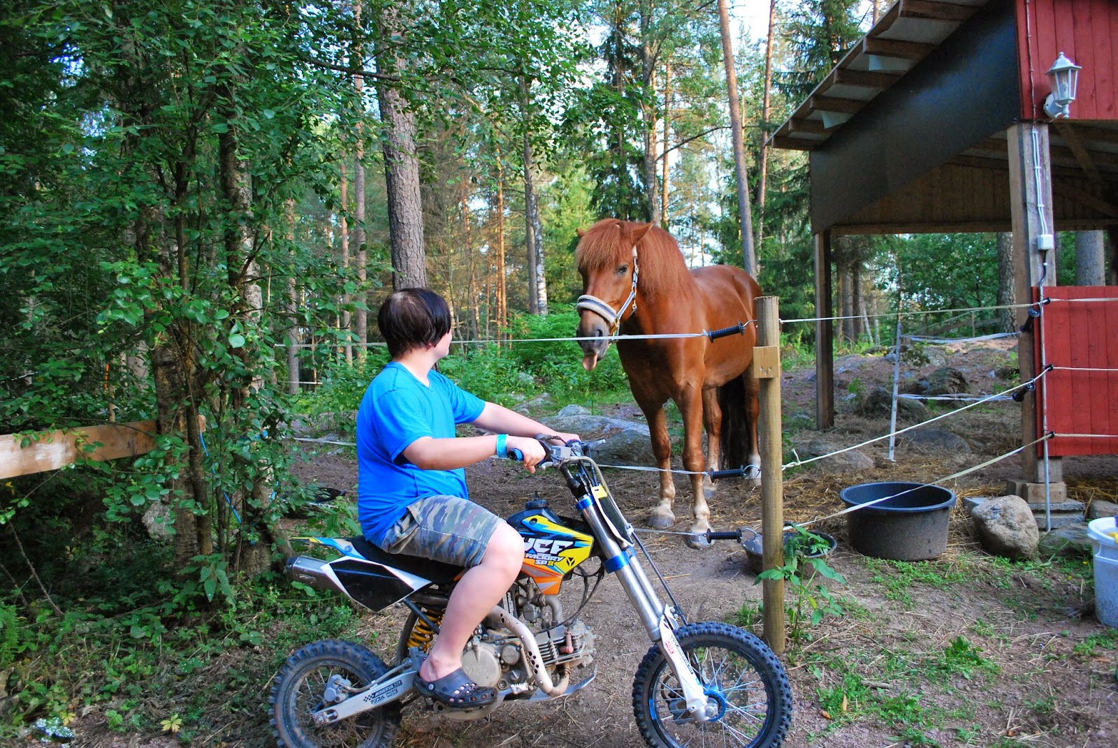 Mamin mussukat: Kaviokuume ja jännitystä elämään