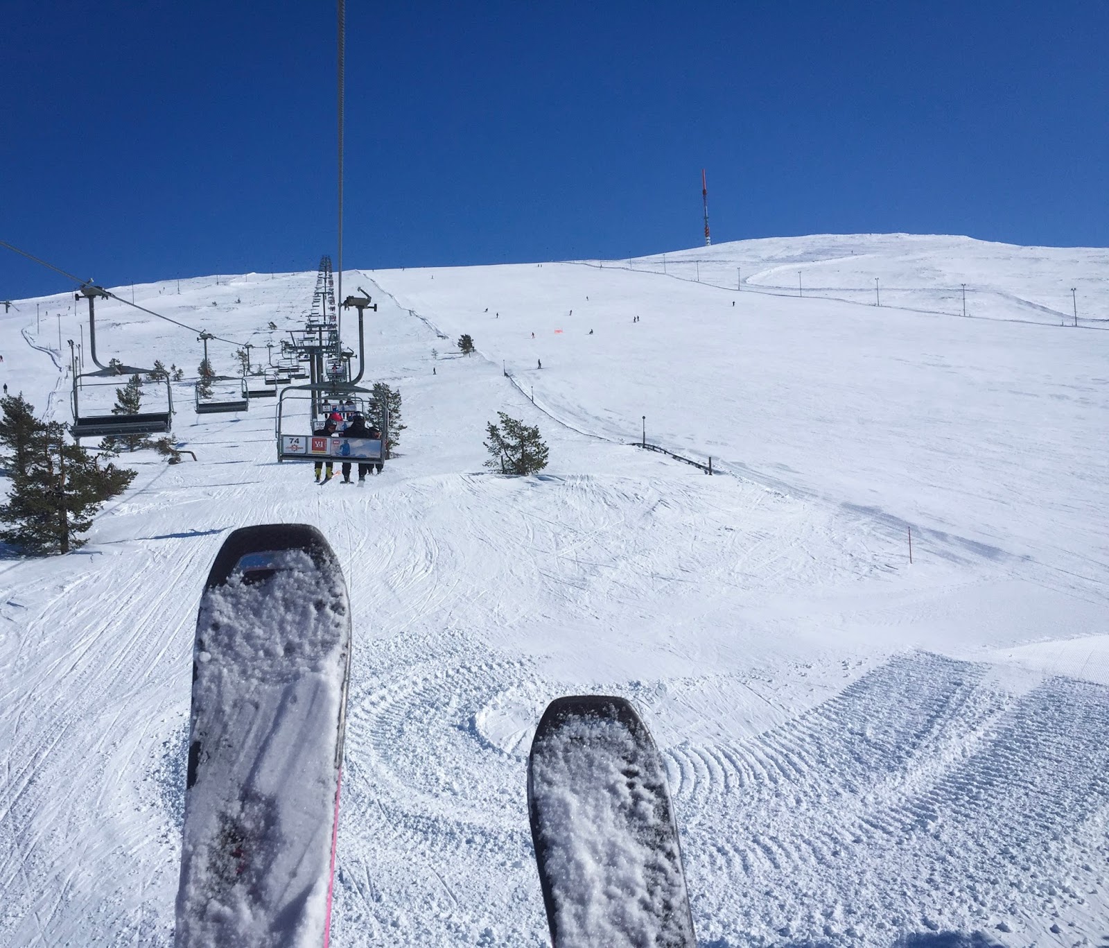 Kotomo: Laskettelu perheen yhteisenä harrastuksena