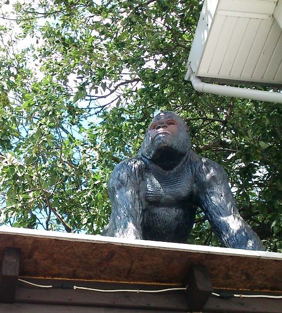 Mr SCOTT jedzie do... (-:: WYCIECZKA Nr 107 - Moszczenica i Czarnocin