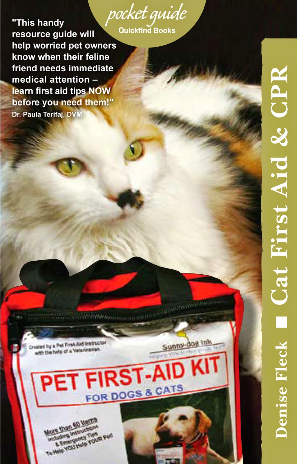 Cat and DOG Chat With Caren: First Aid For Your Cat