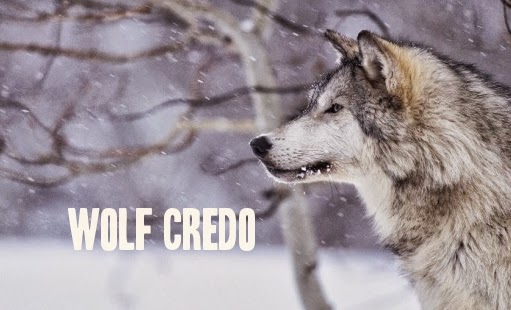 White Wolf : Wolf Credo: What Wisdom Can A Pack of Wolves Teach You?