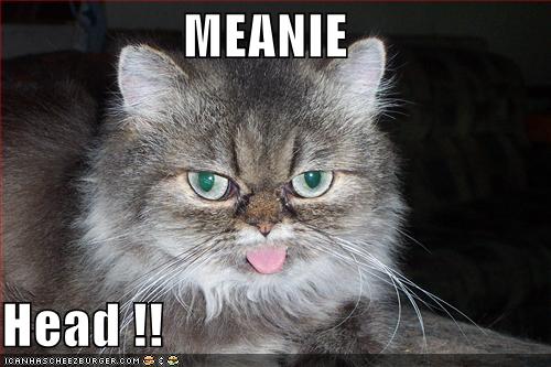 Thoughtflow Current: MEANIE HEADS