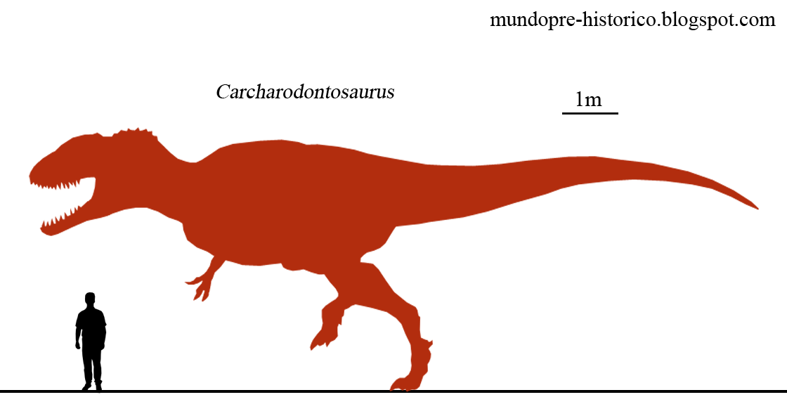 Mundo Pré-Histórico: Carcarodontossauro