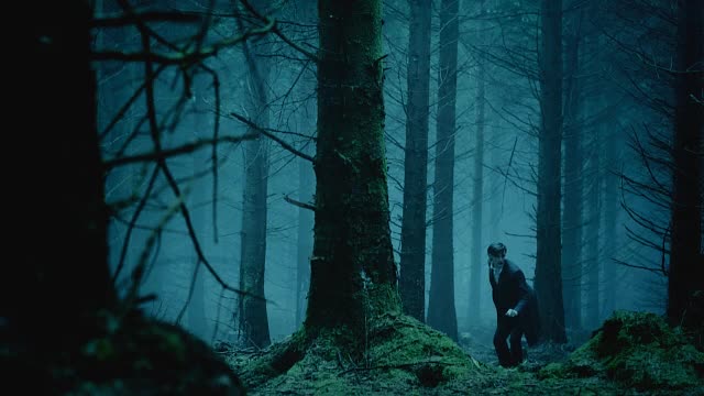 Cathode Ray Tube: DOCTOR WHO: Series 7 - Hide / Review (Spoilers)