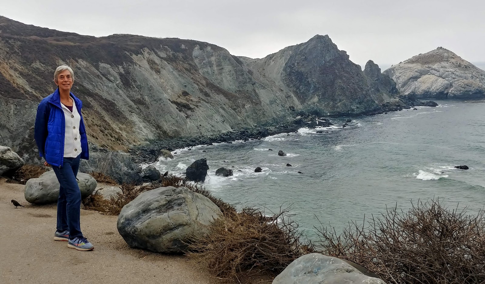 Peter And Evie - Travel blog: Nov 10 - The Big Sur, Hwy 1 Coast, California