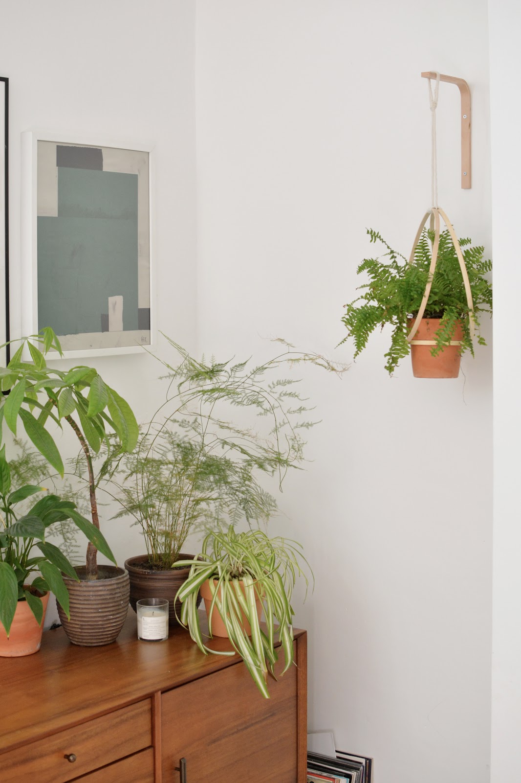 DIY embroidery hoop planter — Caroline Burke | Burkatron