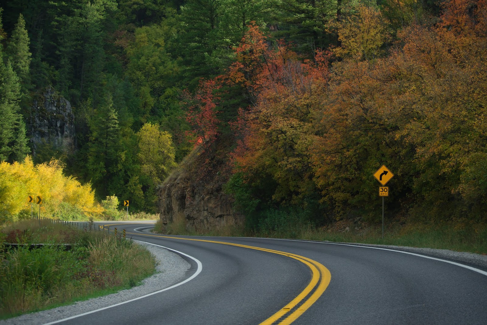 Fall Colors 2019 - Logan Utah
