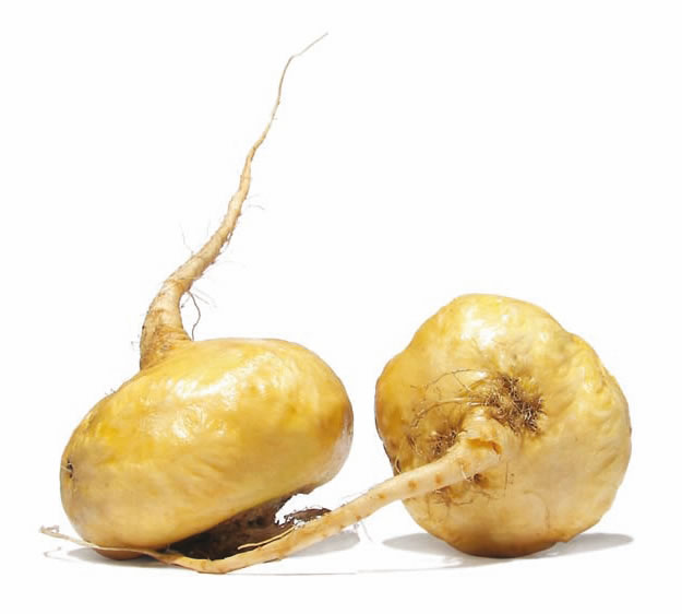 NUTRICION: LA MACA