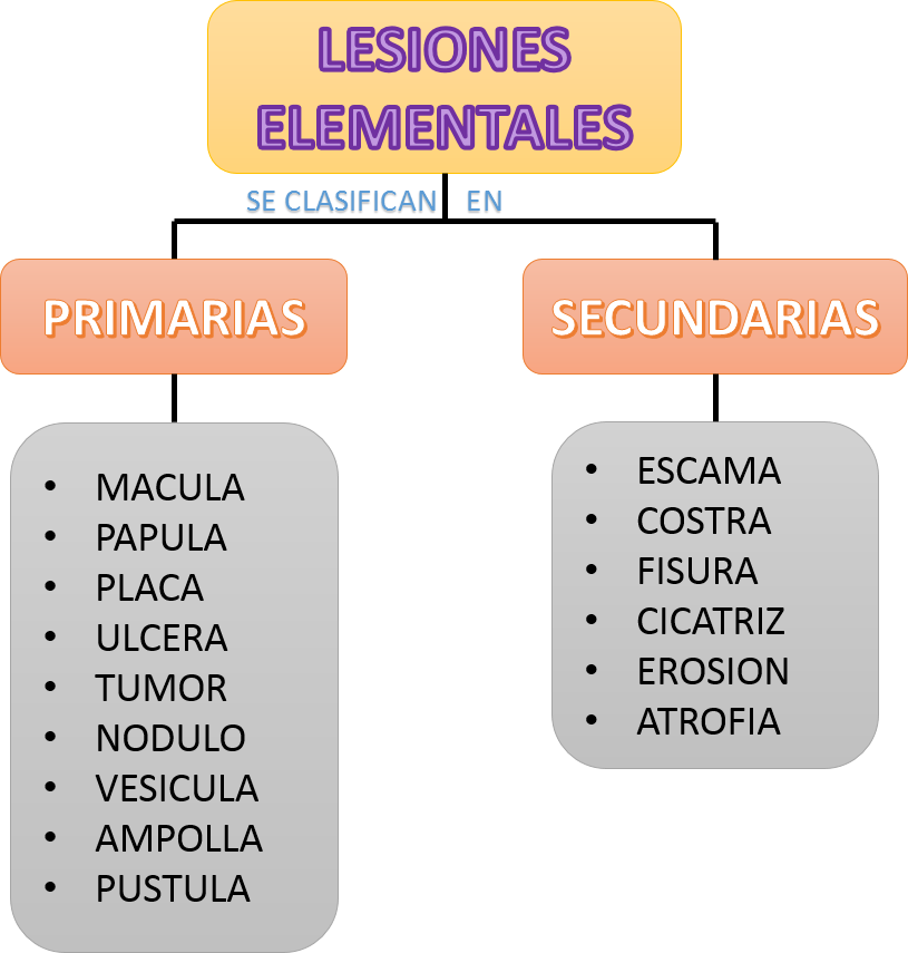"Alteraciones Bucales": LESIONES ELEMENTALES