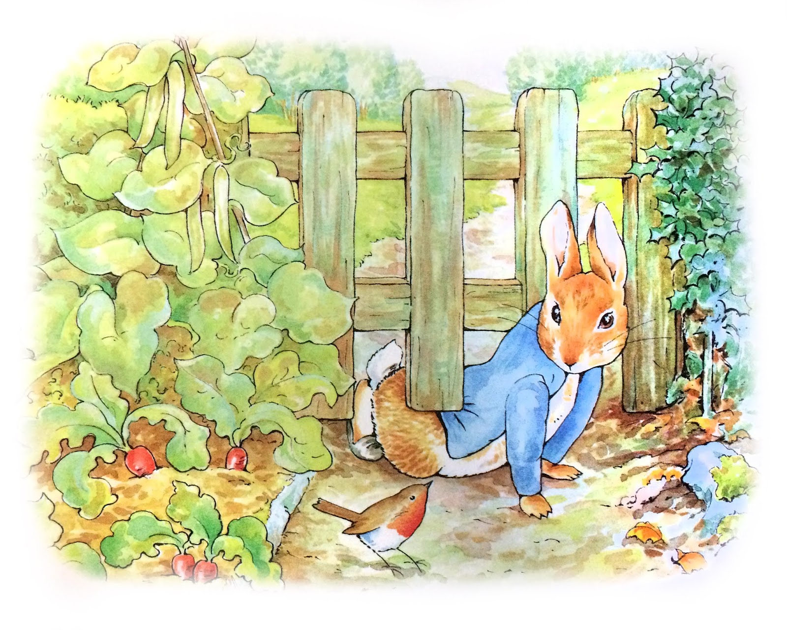 Peter Rabbit Illustrations Public Domain