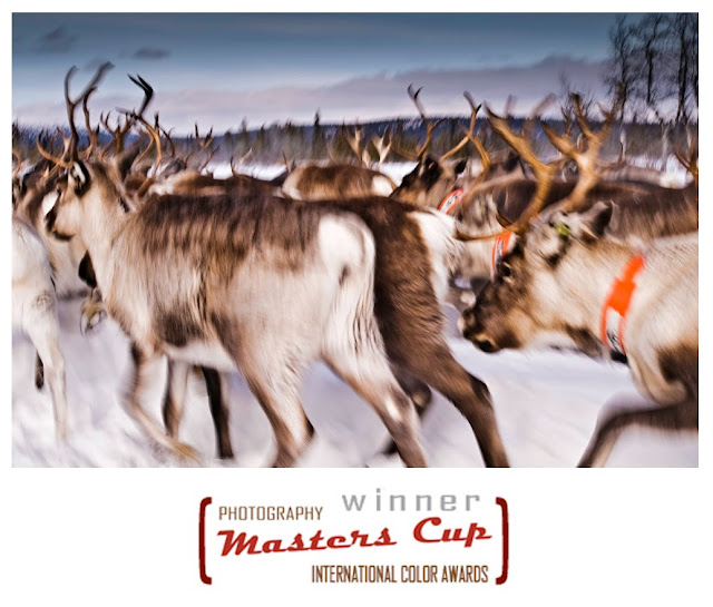 GARY LATHAM PHOTOGRAPHY: REINDEER MIGRATION, LAPLAND : Lonely Planet ...