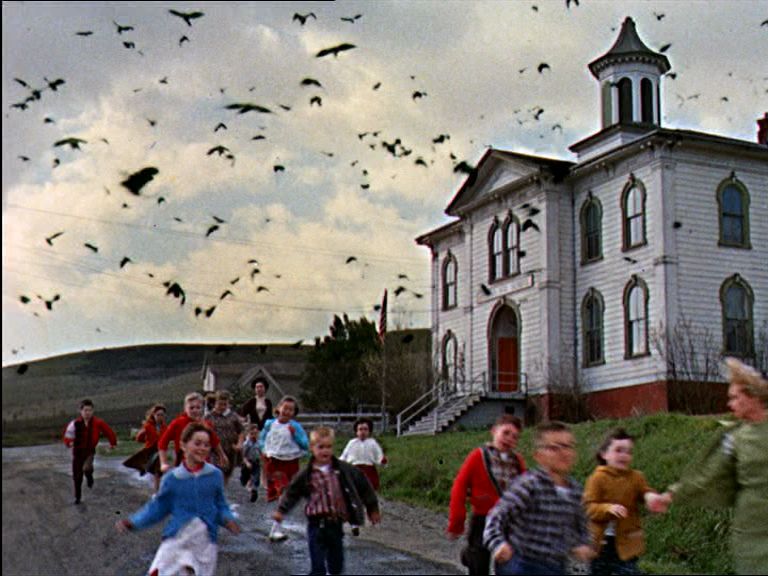 The Film Sufi: “The Birds” - Alfred Hitchcock (1963)