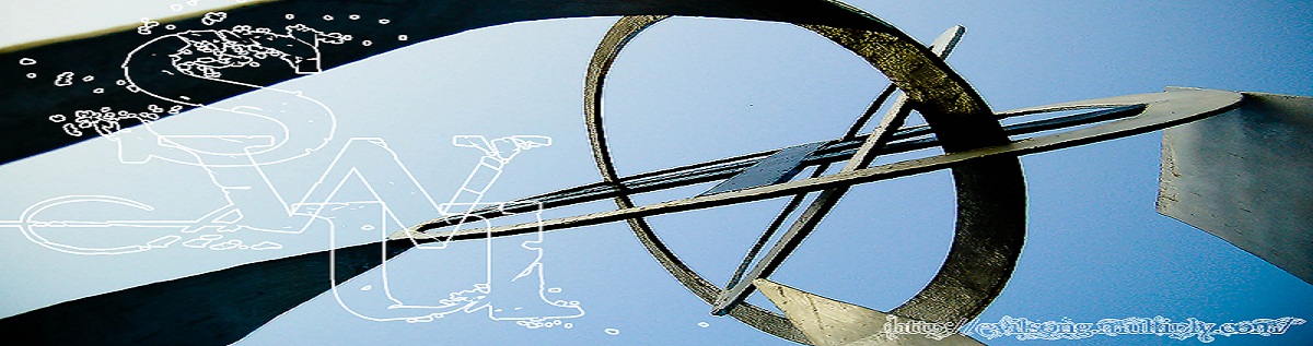 Biomedical Engineer SWU: Accelerometer