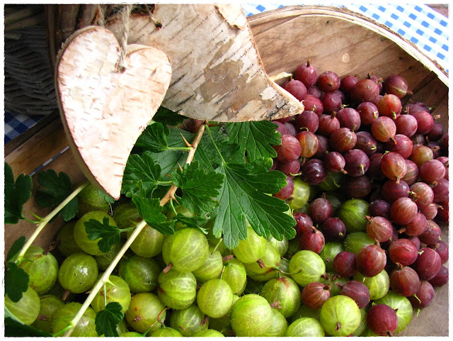 Hoorn Des Overvloeds: Kruisbessen