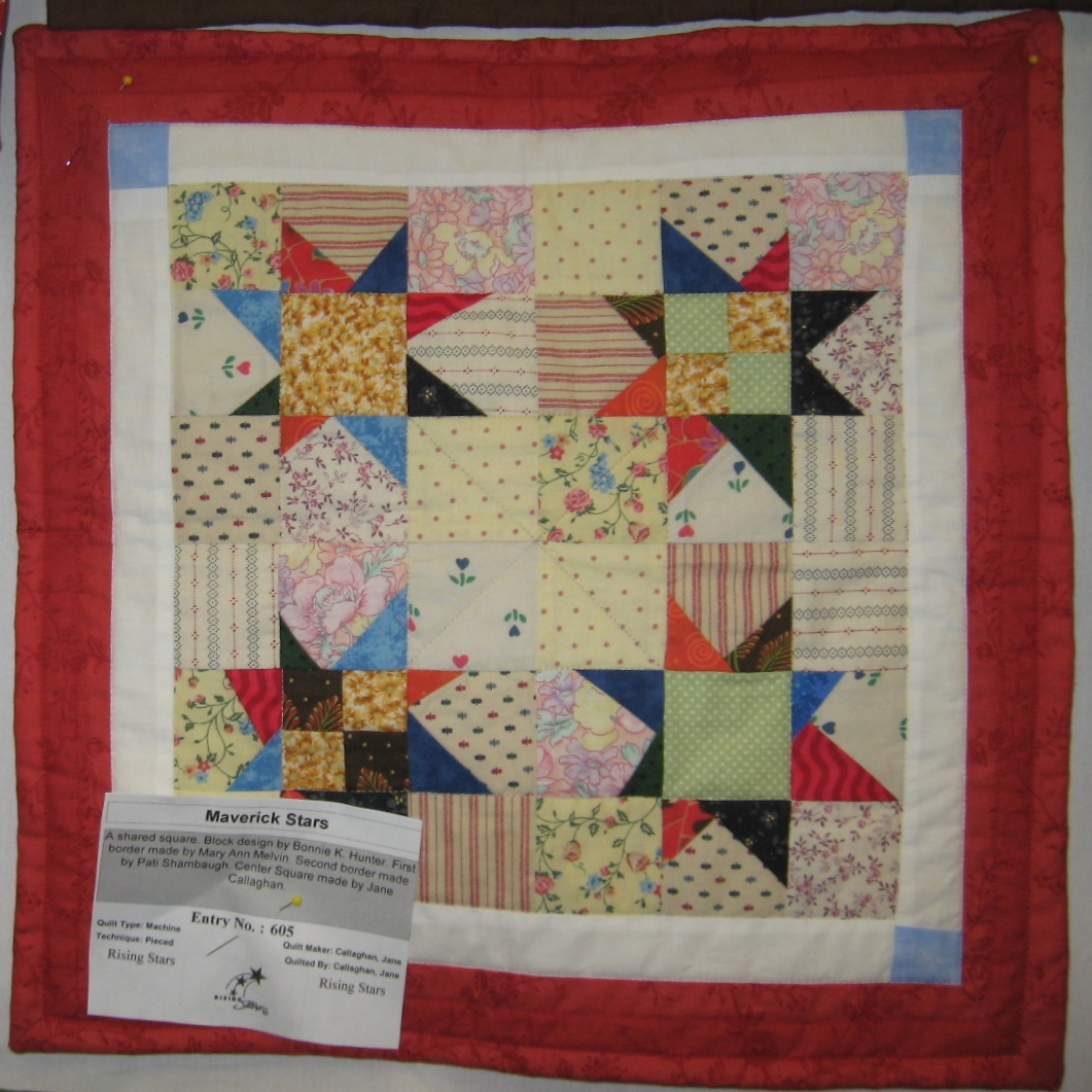 joy for grace: Quilts from a Local Quilt Show