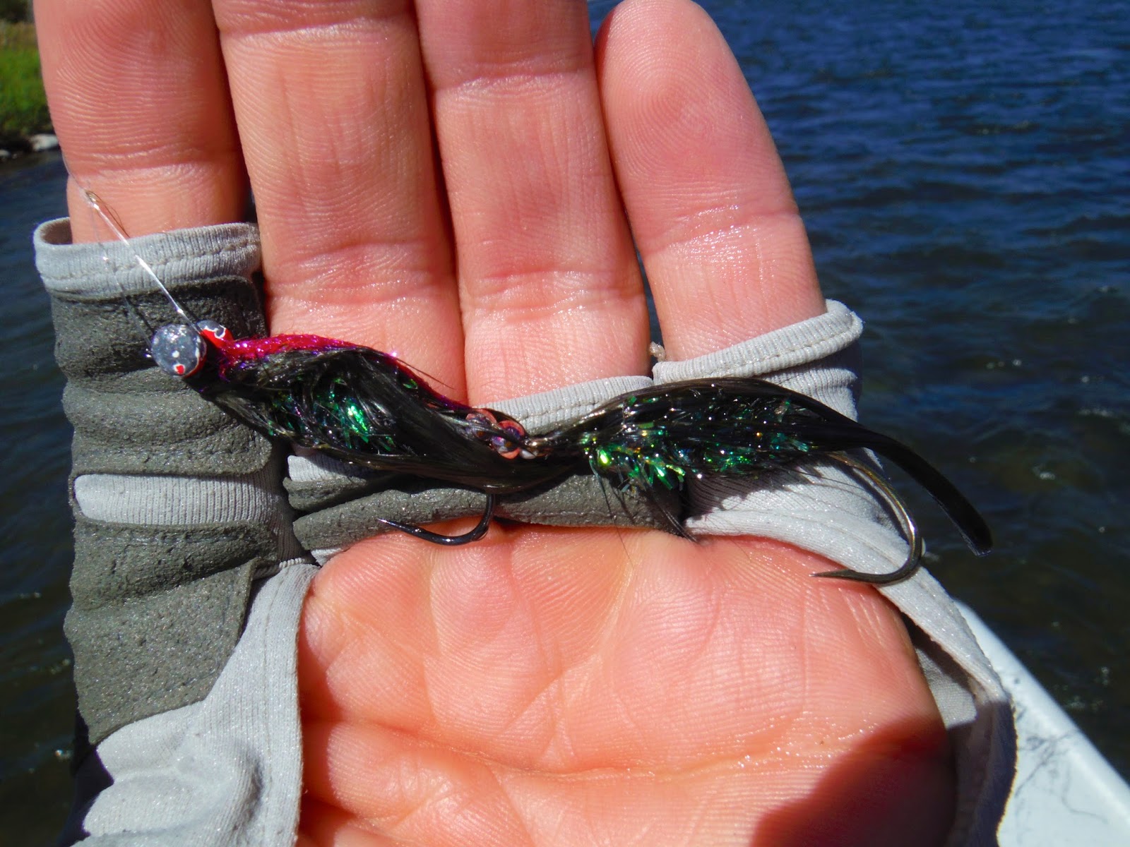 Erik’s Fly Fishing Blog: Anchors Away on the Madison River