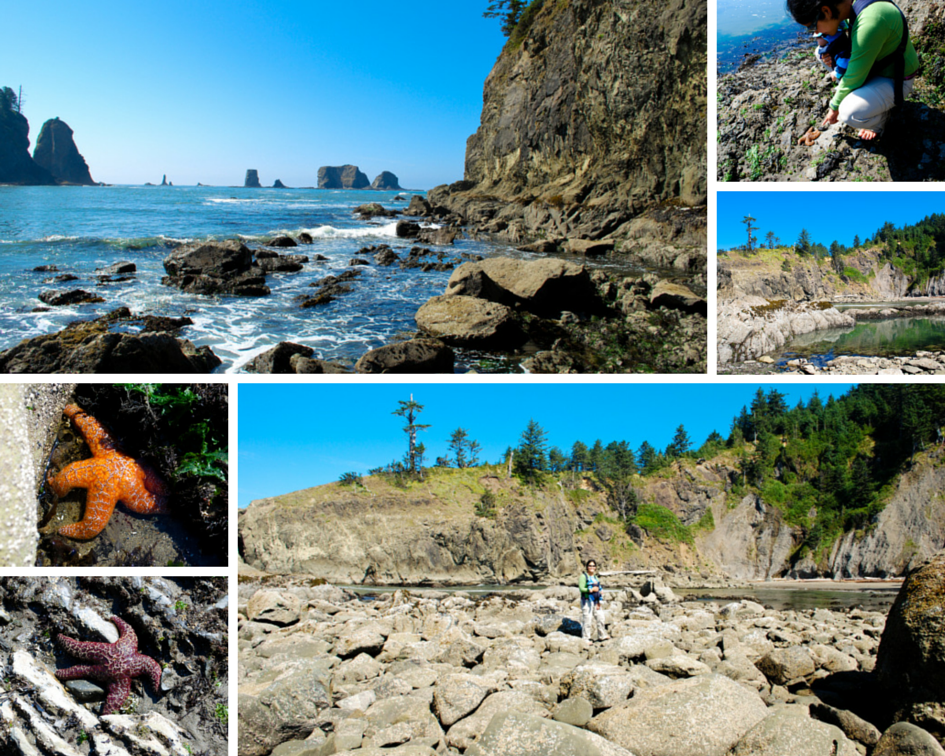 Run-Hike-Play: TBT Hiking Post - Olympic Peninsula Day 2: Second Beach ...