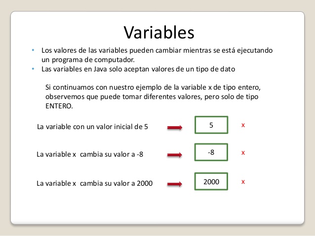 Java Netbeans : Variables de Java Netbeans.