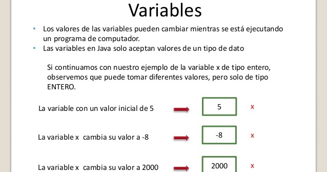 Java Netbeans : Variables de Java Netbeans. Java Netbeans : Variables de Java Netbeans.