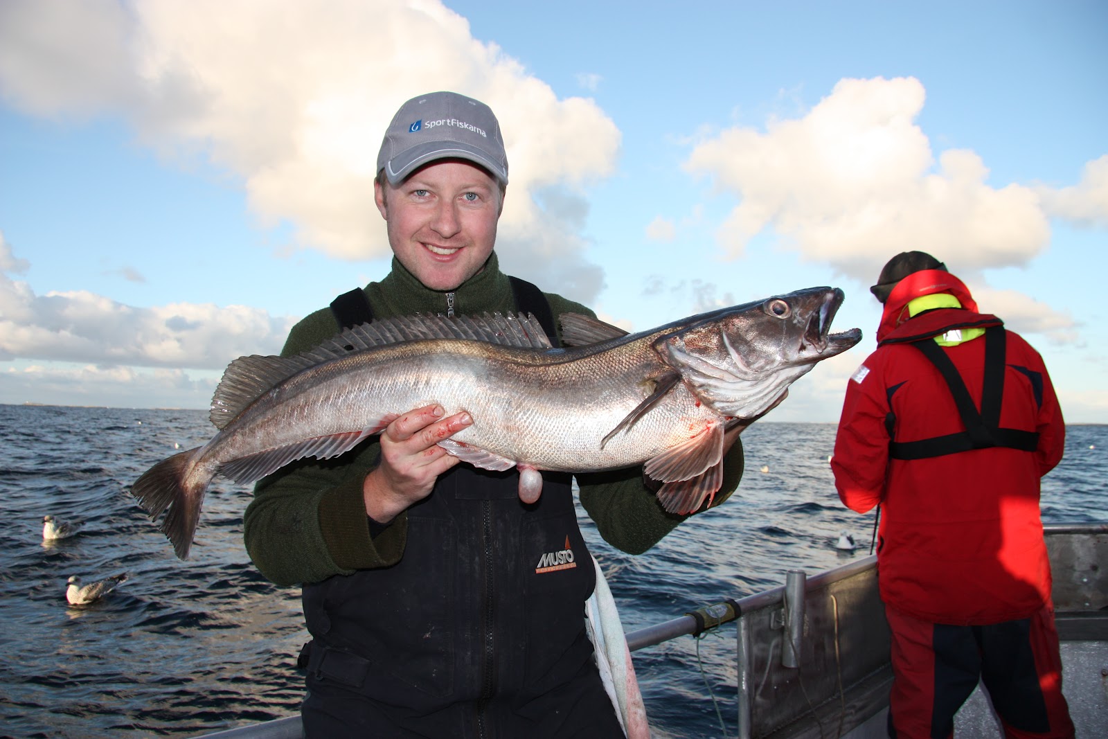 Team Isola: Kummel!!