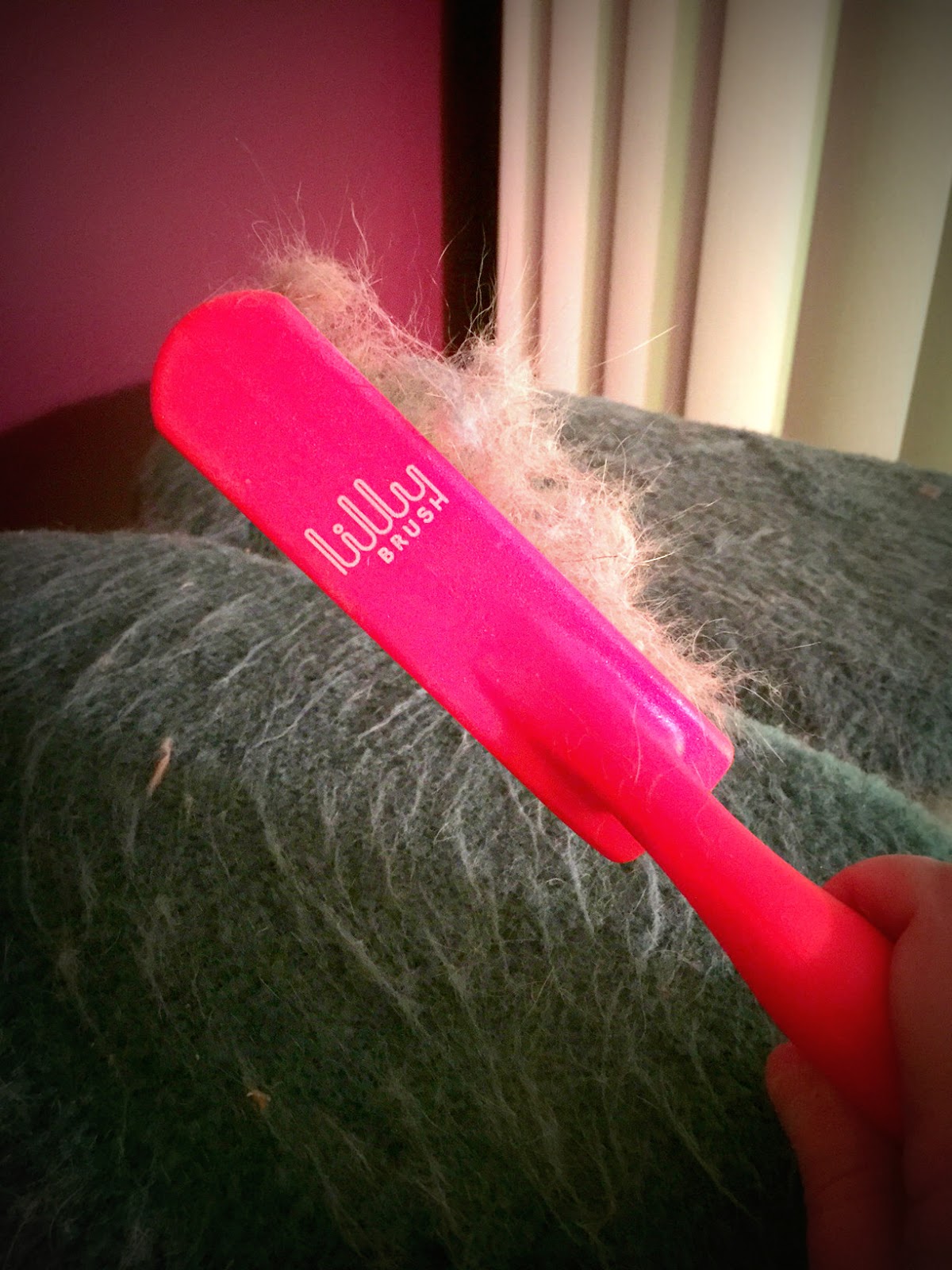 Cat and DOG Chat With Caren: Pet Hair Remover:Lilly Brush "Be Forever ...