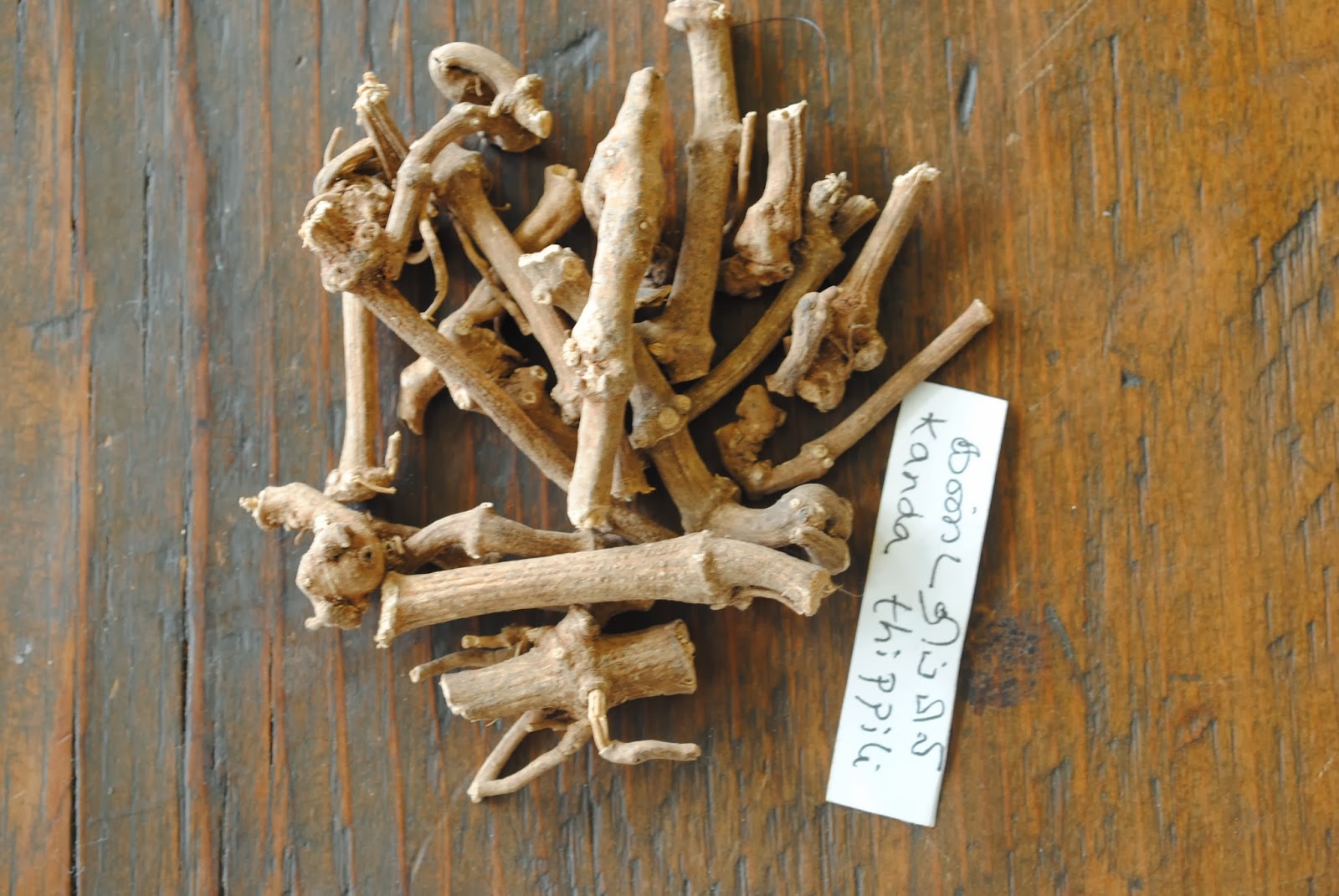 plantspeople: Deepavali Marandhu (Diwali Medicine)