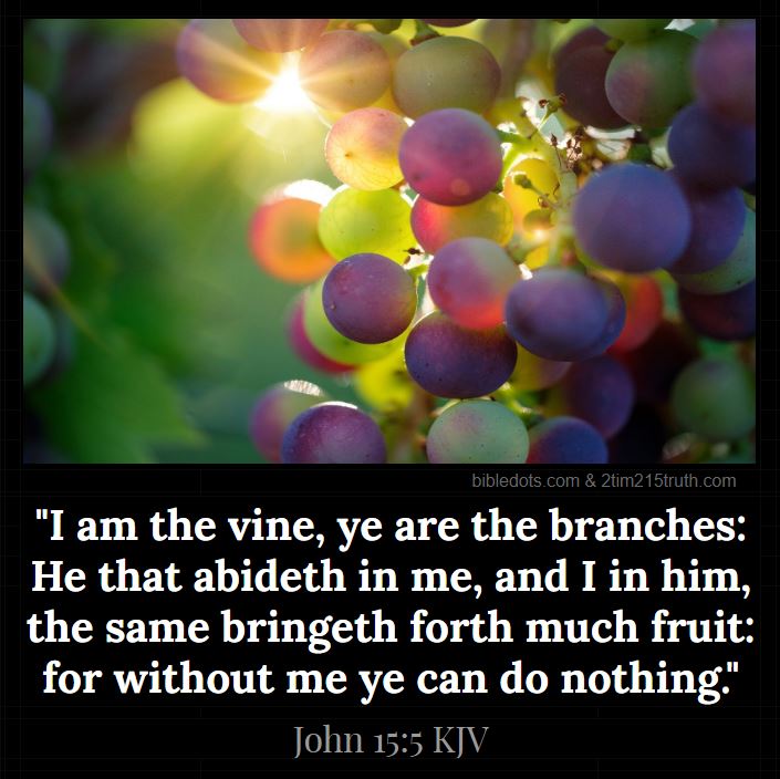 2 Timothy 2 15 Truth Verse Of The Day John 15 5 KJV