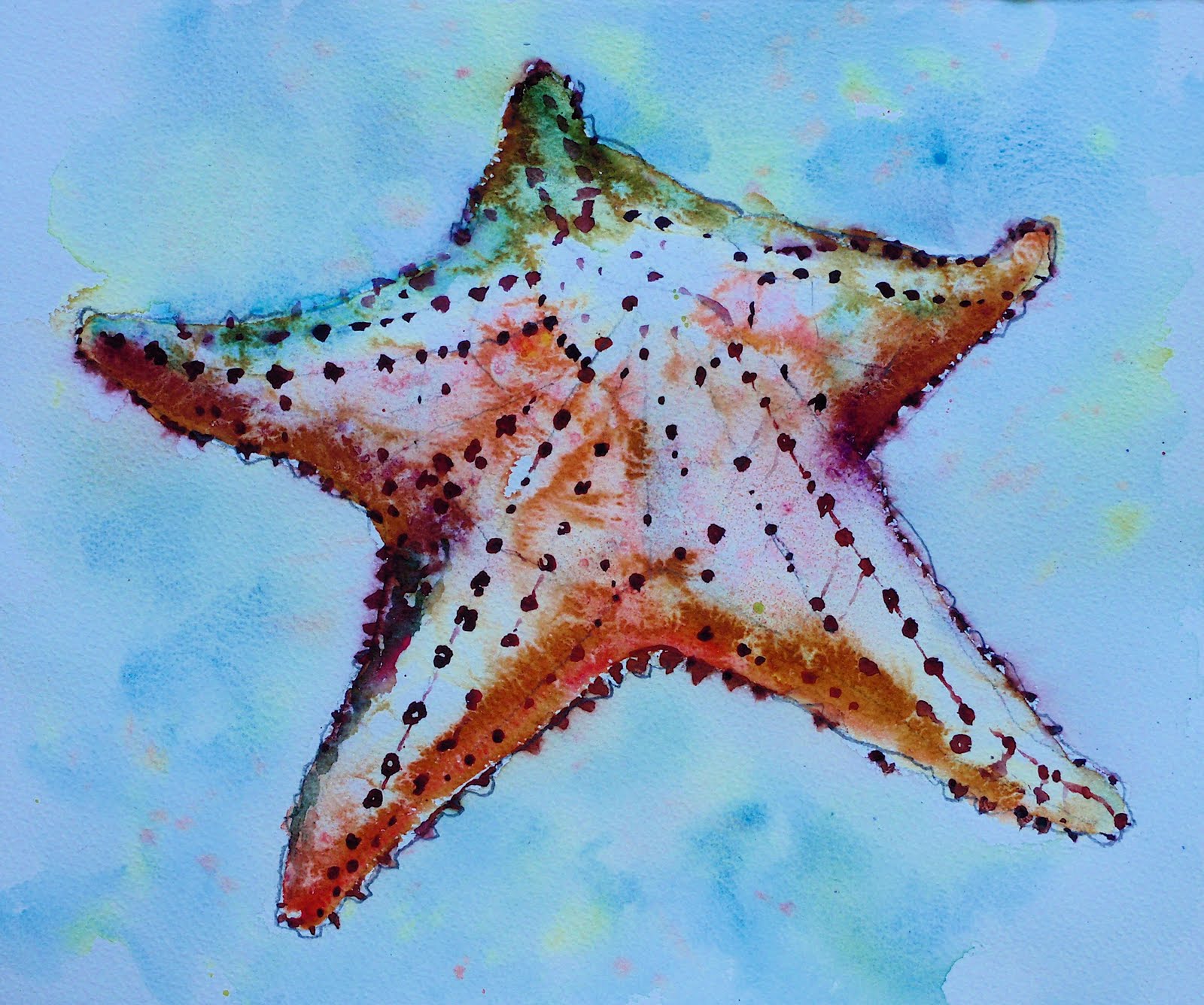 David Lobenberg: GOT FISH?