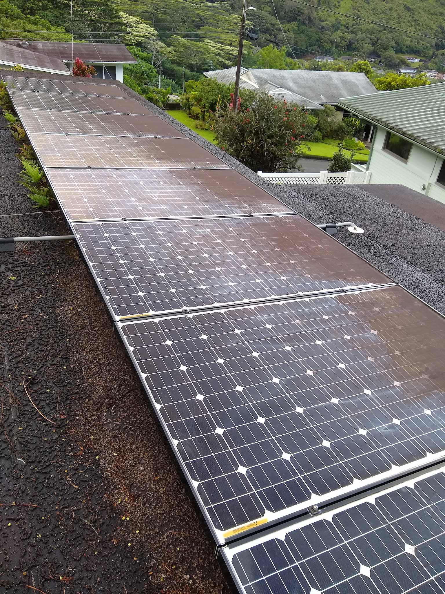 Solar Panel Cleaning
