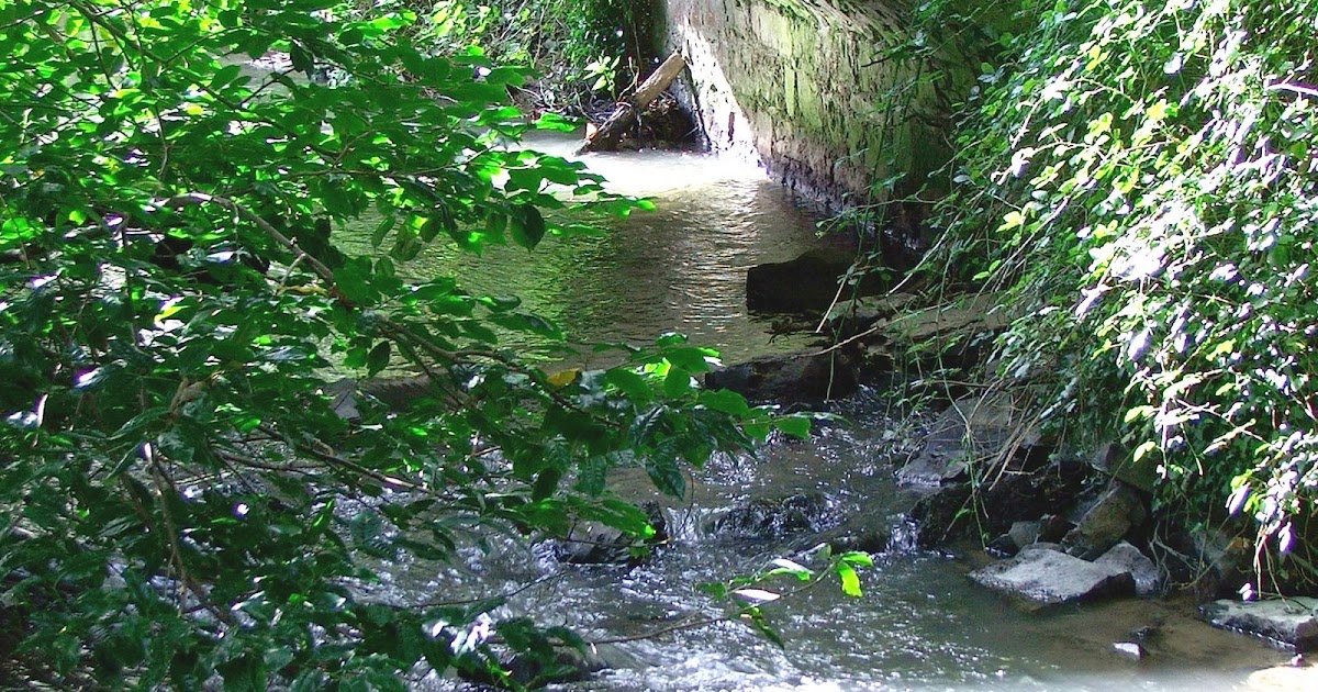 The Camac River at Corkagh.