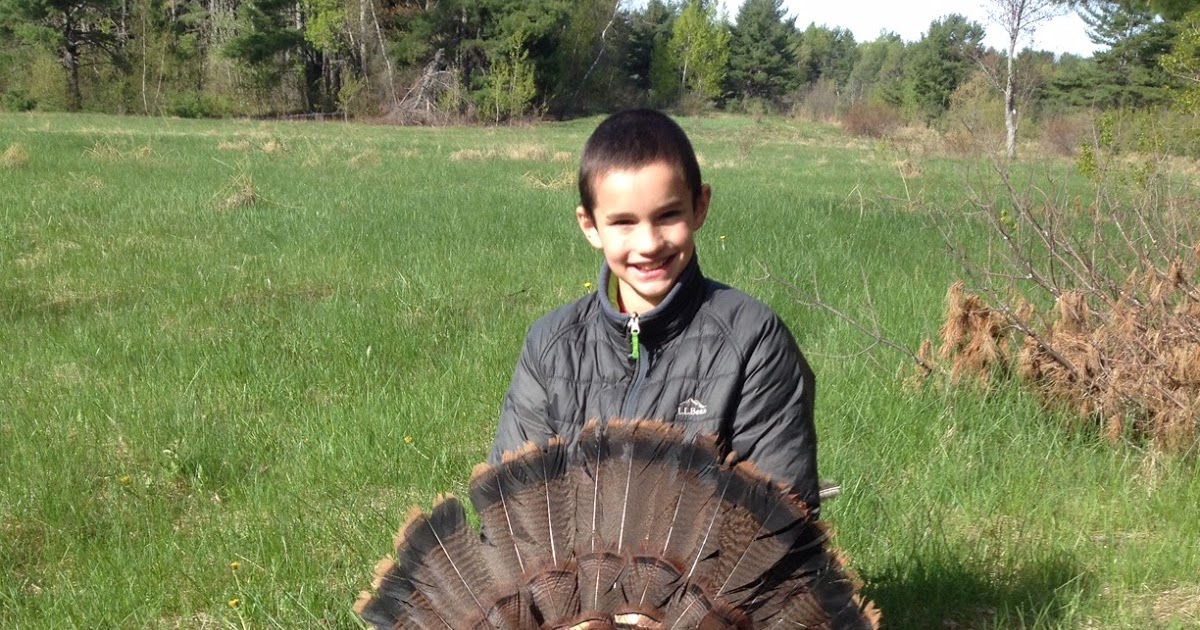 The Maine Outdoorsman: Turkeys in Central Maine as Thick as the Ticks!