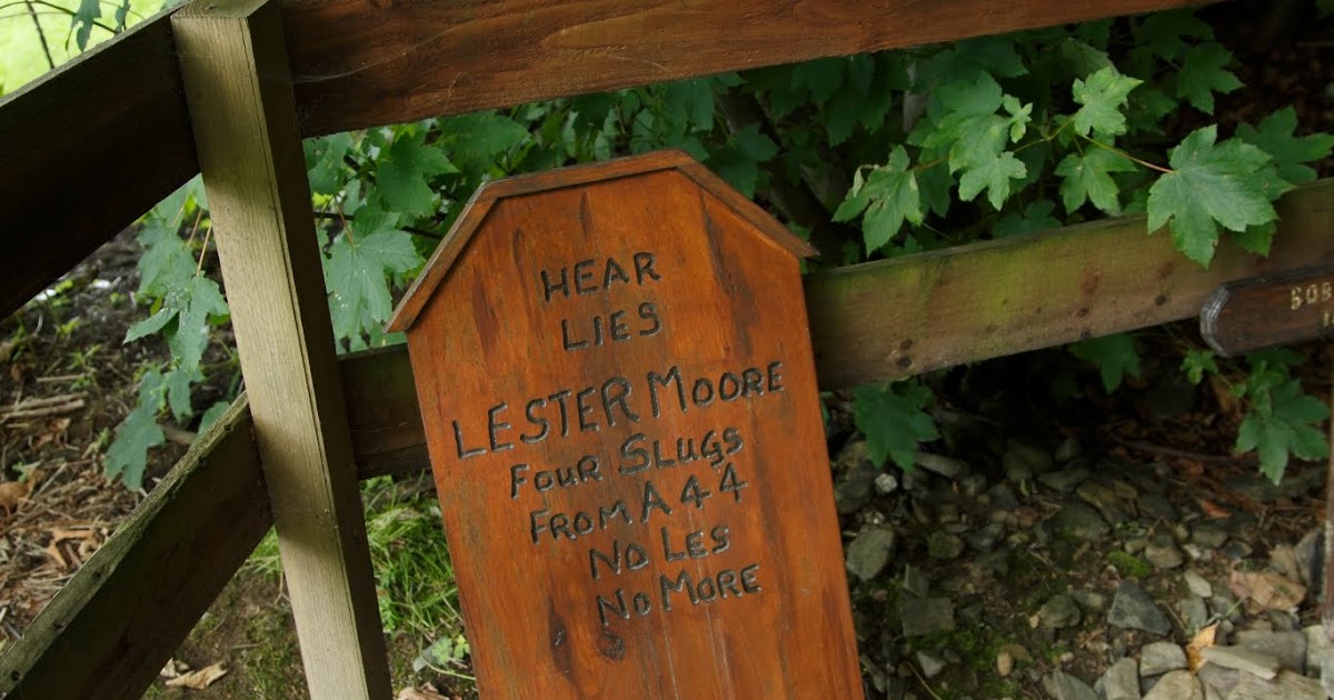 Here Lies Lester Moore – By Duncan Harley