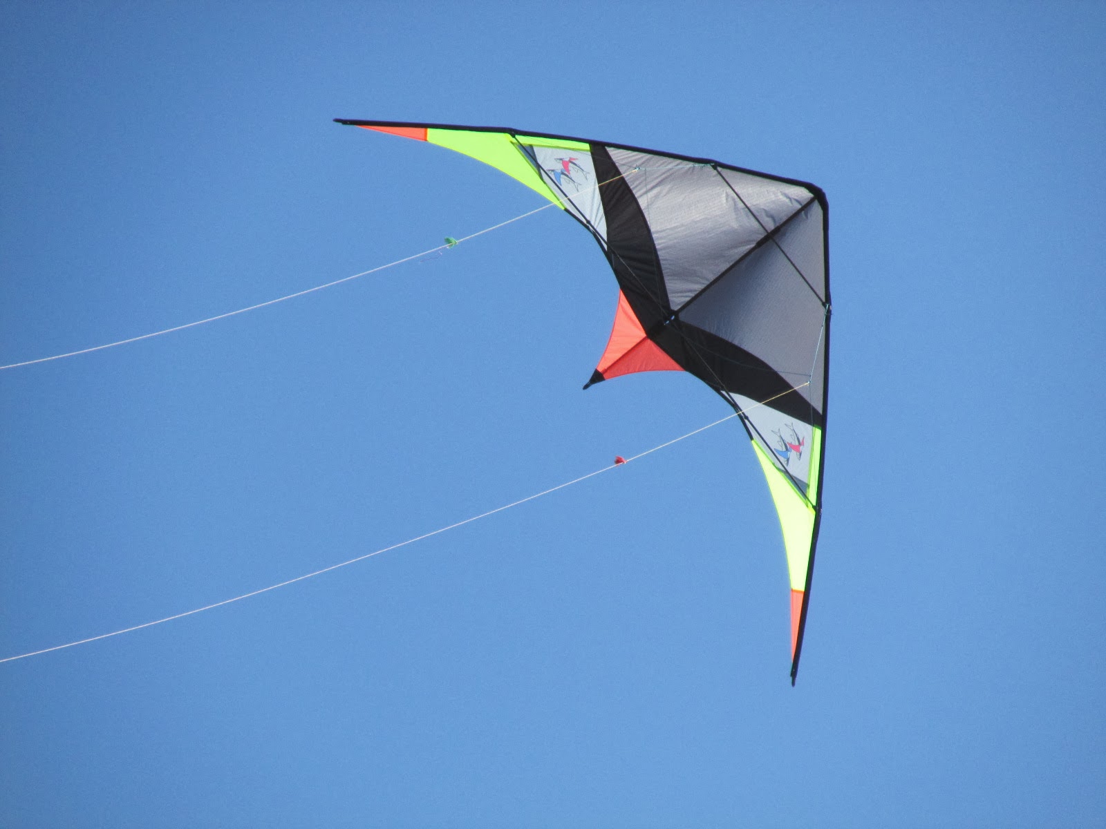 Flying Fish Kiting Team: A full set of T5 kites - part 3
