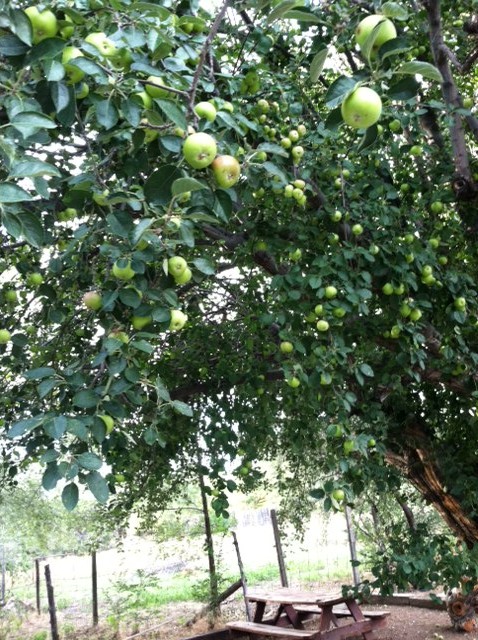 Canyon Road Arts Blog Santa Fe Art Gallery Complete Guide to Santa Fe ...