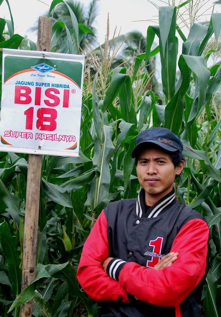 Mengenalkan lebih jauh BISI 18 bagi petani di Merbau Mataram (11/10 ...