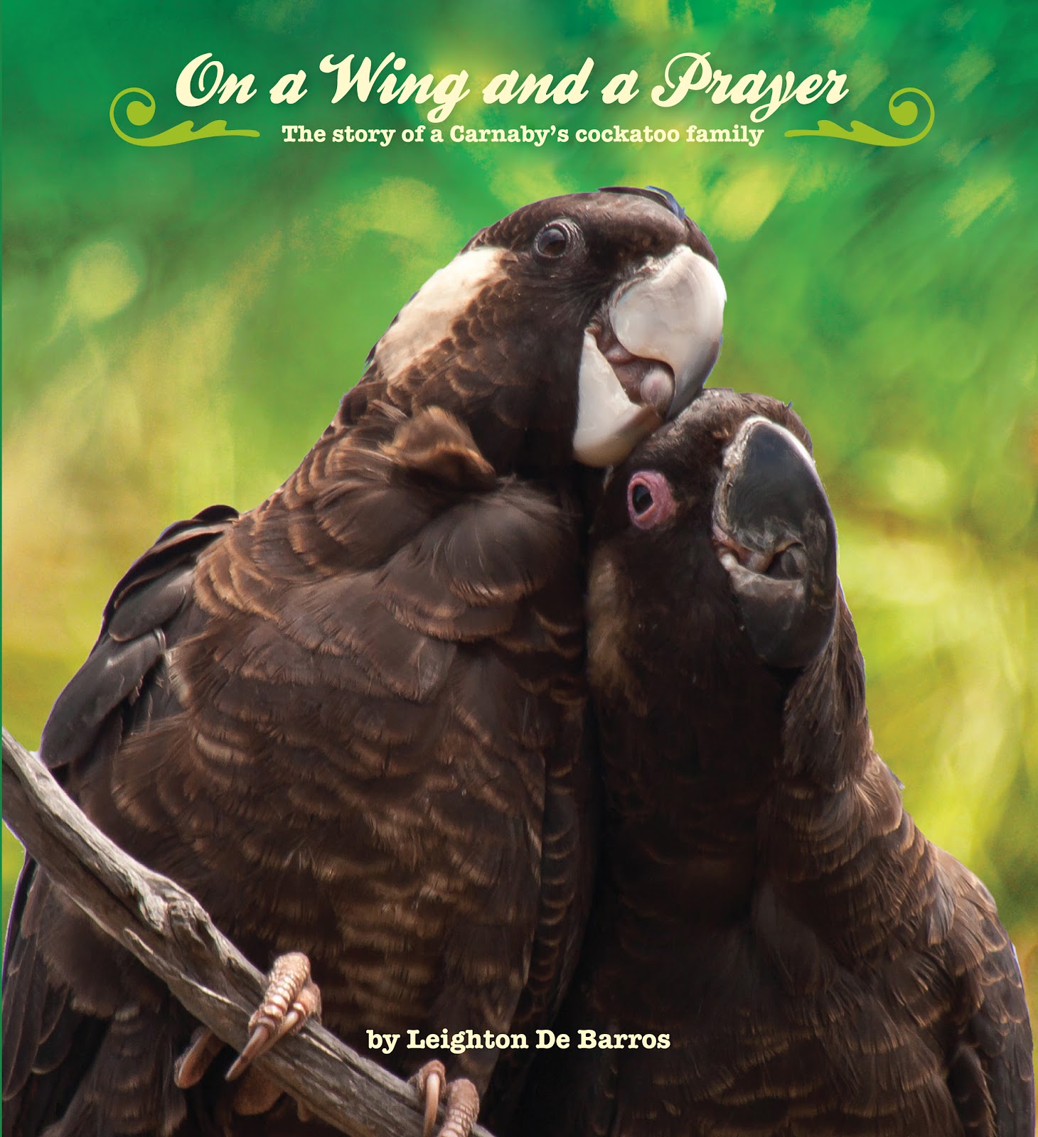 Researching Carnaby's Cockatoo: Launch of a book about Carnaby's cockatoo