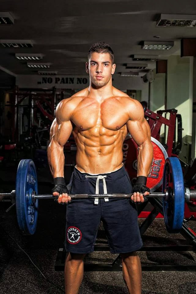 Daily Bodybuilding Motivation: Gal Balint - International Physique ...