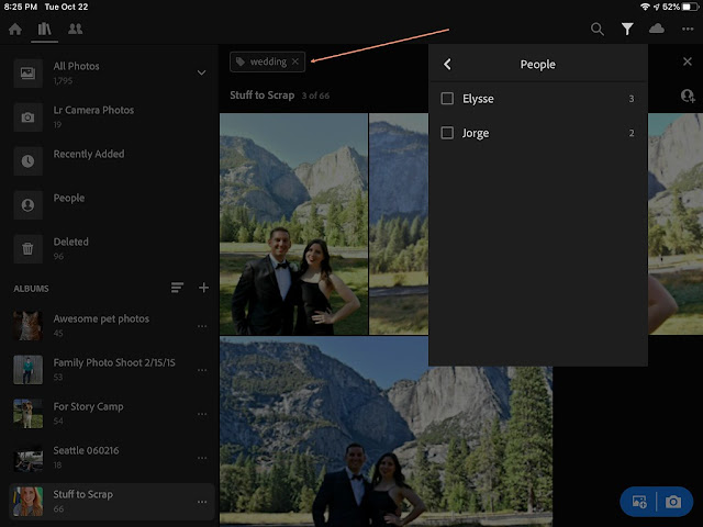 pink reptile designs: TUTORIALS | LIGHTROOM CC - SEARCH TOOLS & EDITS