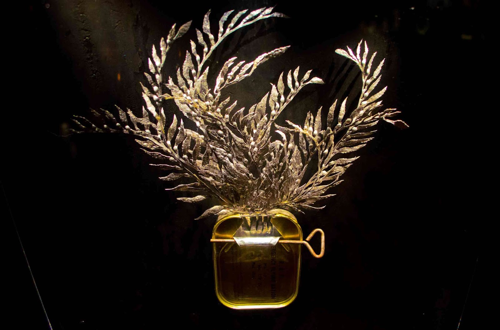 Thoughts are like fishes: Fiona Hall's Wrong Way Time