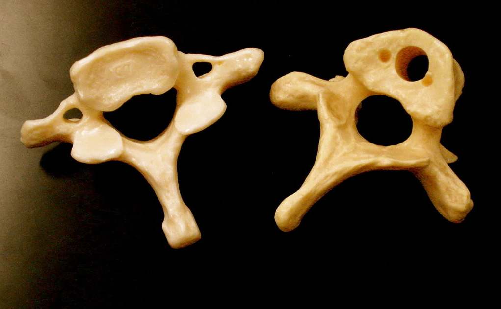 Sistema Oseo : abril 2020