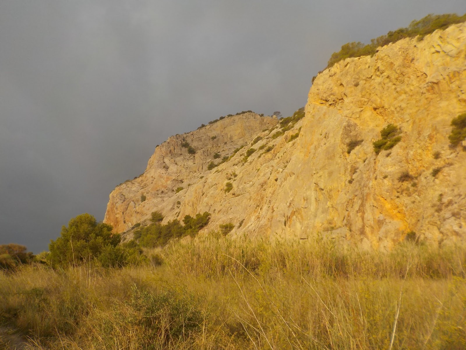 Els Cinc Peus al Gat.: Ascensió Penya Segat de la Falconera "Via Morgan ...